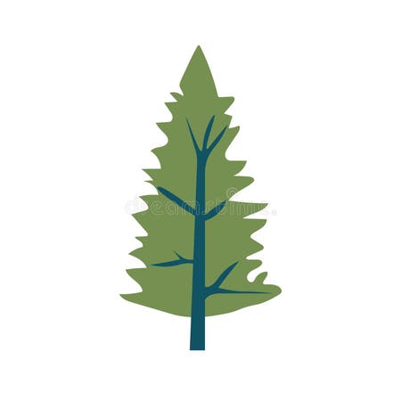 Cute Spruce Tree Vector Art, Simple Green Pine Tree Vector Illustration ...