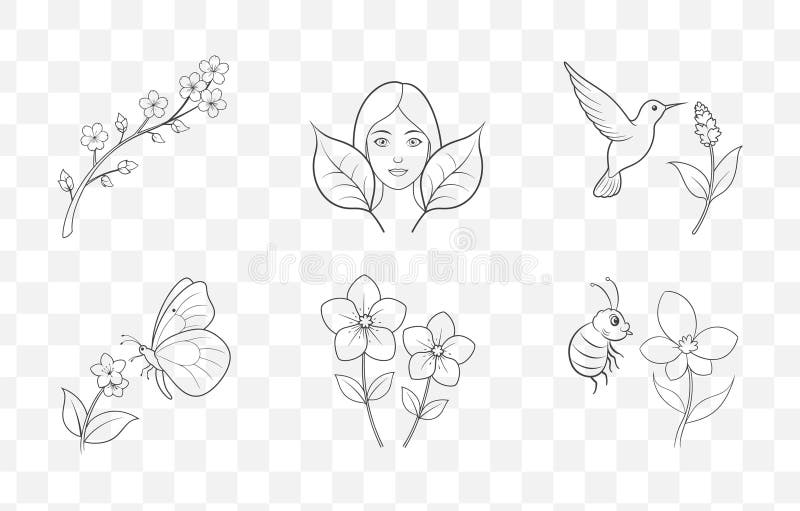 Outline Veronica Plant Stock Illustrations – 24 Outline Veronica Plant ...