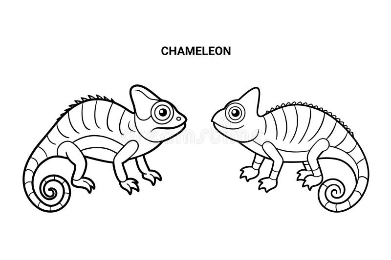 Versatile Vector Chameleon: Perfect Outline for Any Project Stock Photo ...