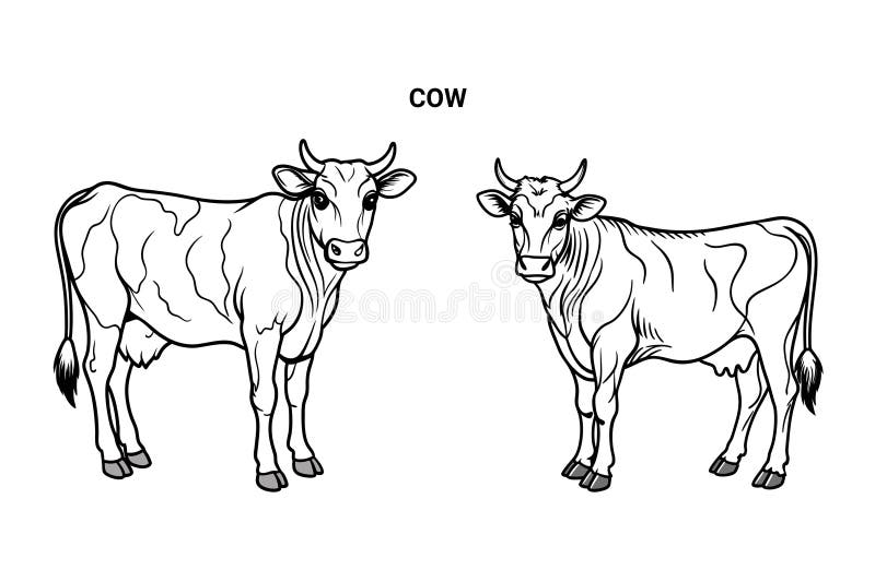 Versatile Vector Cow: Perfect Outline for Any Project Stock Vector ...