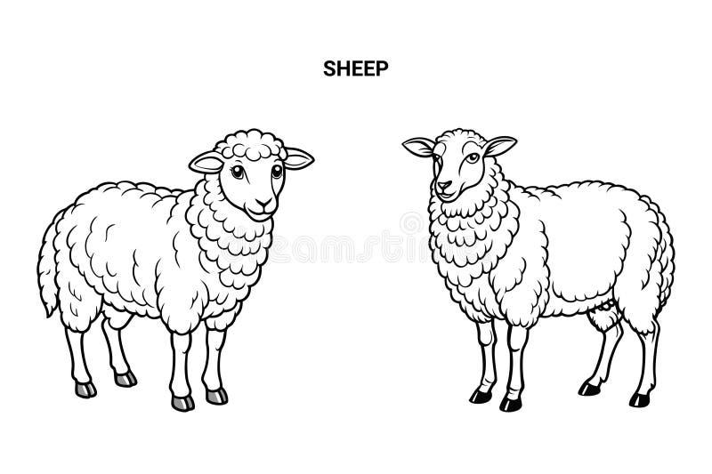 Versatile Vector Sheep: Editable Outline Perfect for Any Project Stock ...