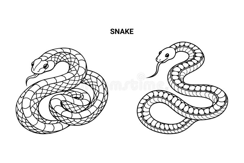 Versatile Vector Snake: Editable Outline Perfect for Any Project Stock ...