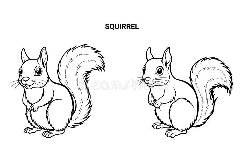 Versatile Vector Squirrel: Editable Outline Perfect for Any Project ...