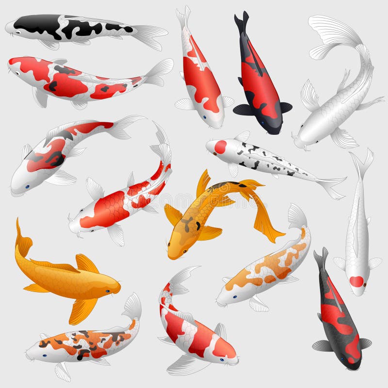 Koi Fish Icon Set. Cartoon Set of Koi Fish Icon Stock Illustration ...