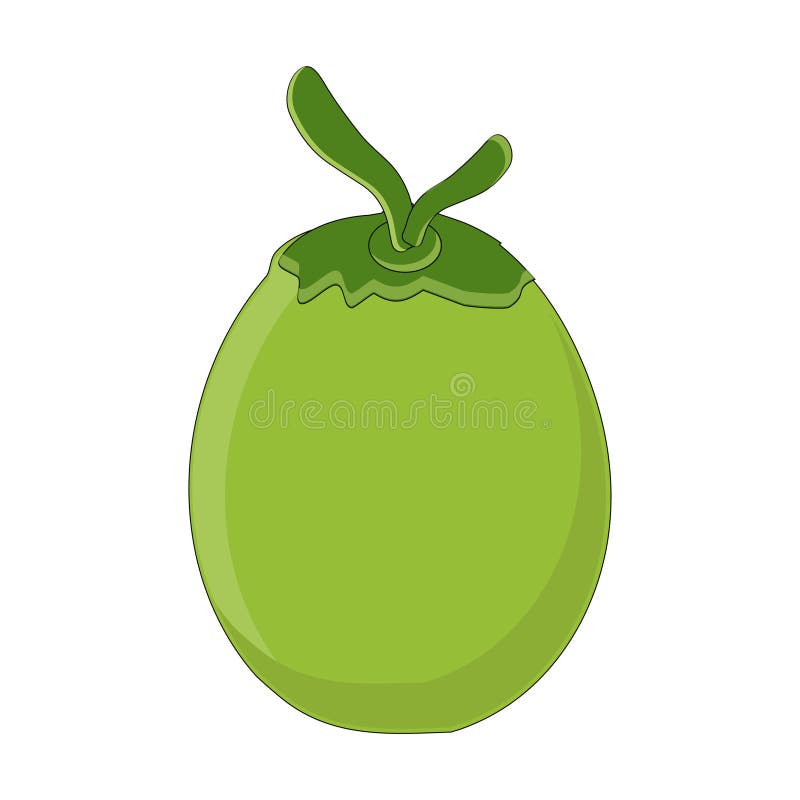 Green Coconut Vector Graphics, Young Coconut Water Icon Stock Vector ...