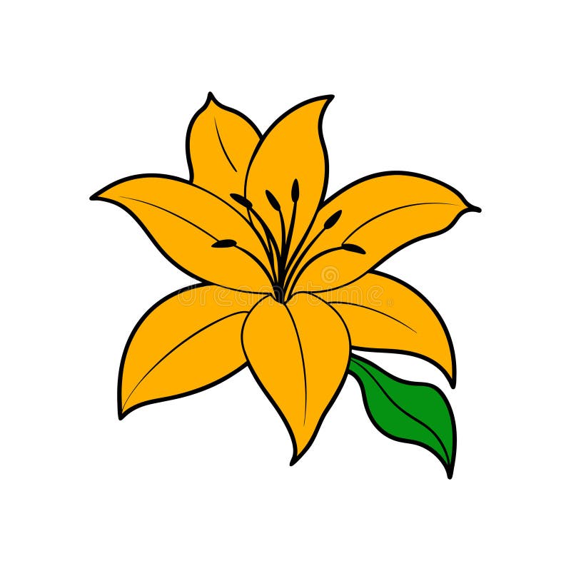 Beautiful Lilly Flower Vector - Detailed Floral Design Stock Vector ...