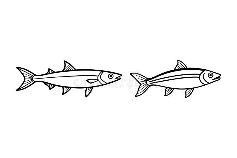 Anchovy fish vector art stock illustration. Illustration of anchovy ...