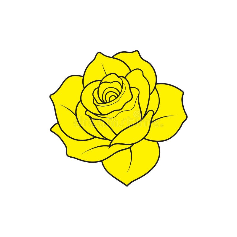 Vibrant Red Rose Flower Vector Stock Vector - Illustration of flower ...