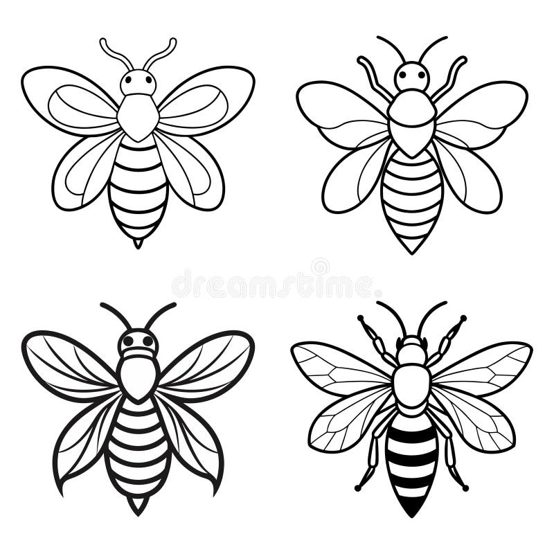 The Bee Outline Vector Set with Smooth Line Art. Stock Vector ...