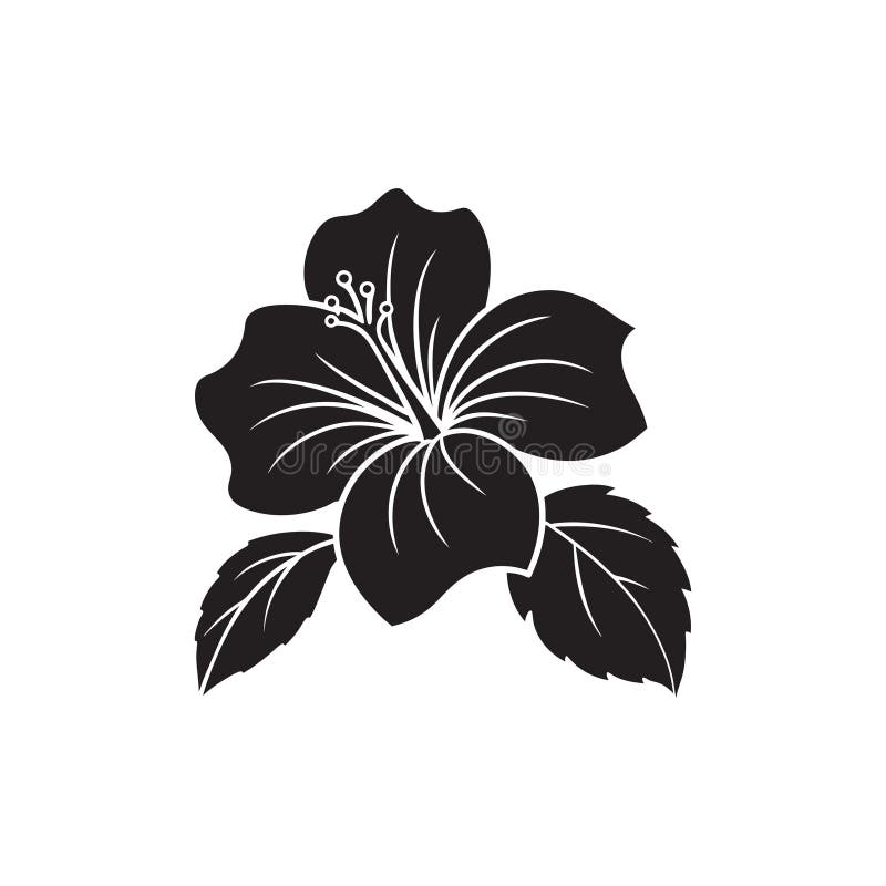 Vibrant Hibiscus Flower Vector Artwork Stock Vector - Illustration of ...