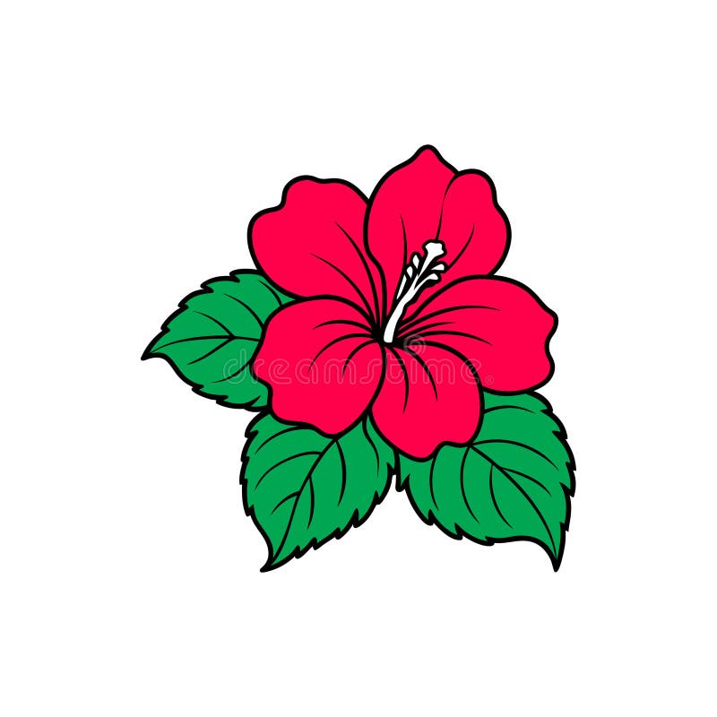 Stunning Hibiscus Flower Vector Art Stock Vector - Illustration of ...