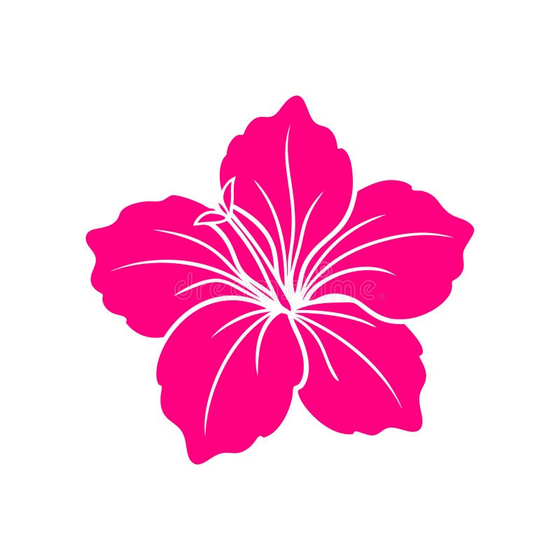 Vibrant Hibiscus Flower Vector Art Stock Vector - Illustration of ...
