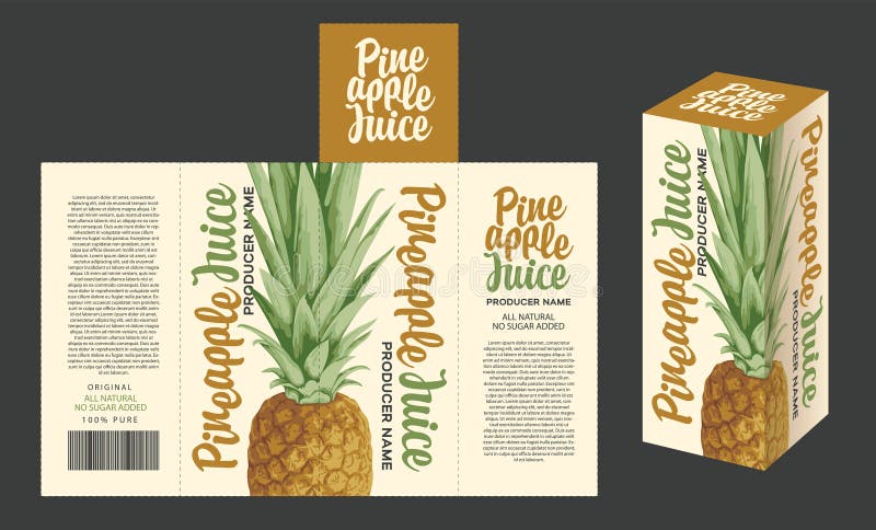Template of Cardboard Packaging Box for Pineapple Juice Stock ...