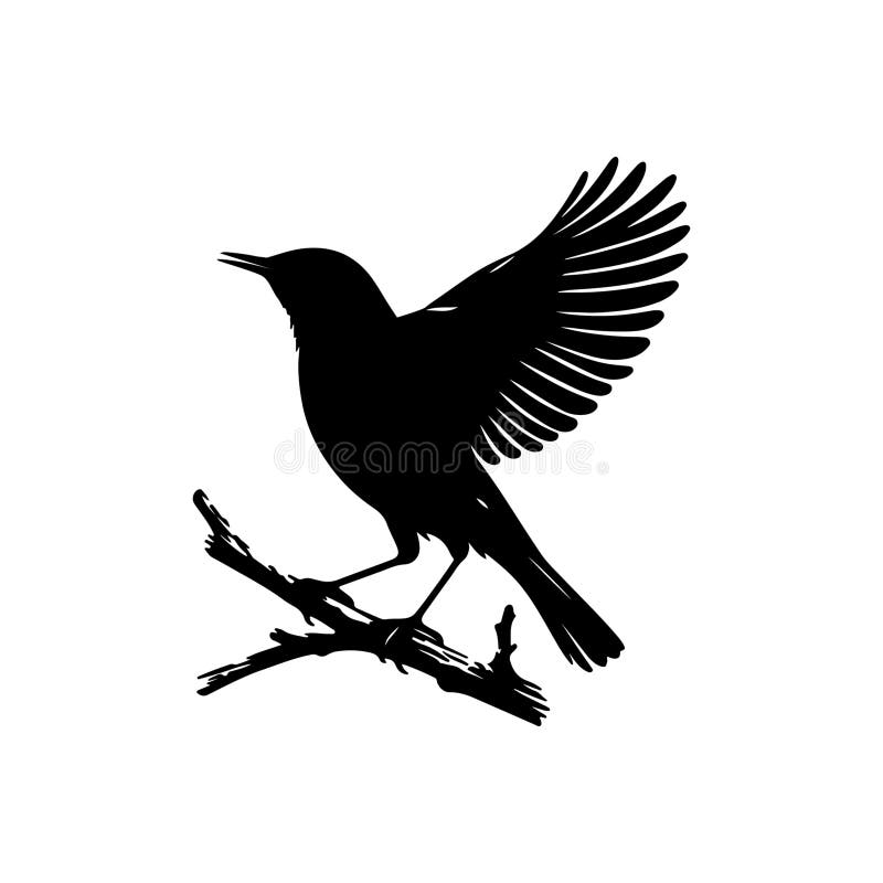 Detailed Wildlife Birds Vector Illustration Stock Vector - Illustration ...
