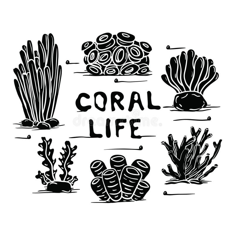 Coral Set Hand Drawing Vector Stock Illustration - Illustration of ...