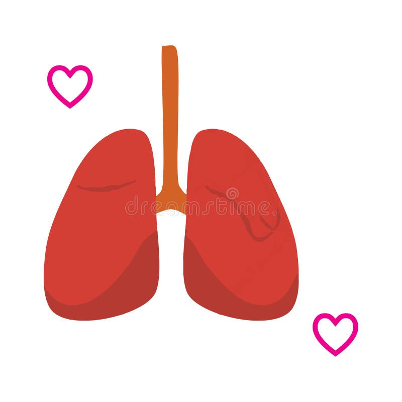 Lungs Human Health Sticker Illustration Respiratory Organ Isolated ...