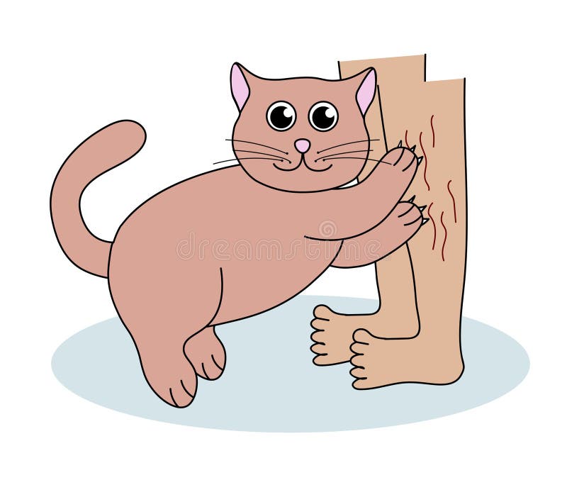 Problem with Cat Behavior. Kitten Scratches Legs. Cute Hand Drawn Flat ...