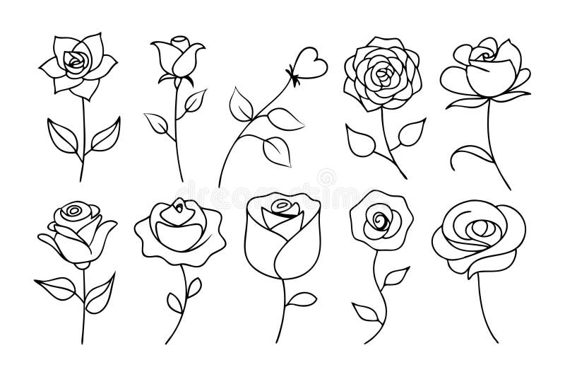 Elegant Rose Flower Line Art Vector Illustration. Stock Vector ...