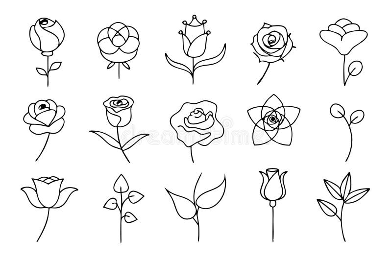 Elegant Rose Flower Line Art Vector Illustration. Stock Vector ...