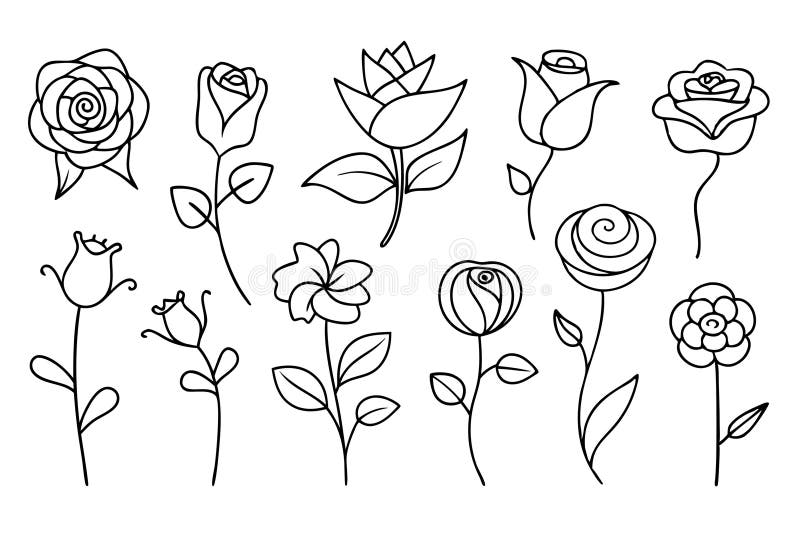 Elegant Rose Flower Line Art Vector Illustration. Stock Illustration ...