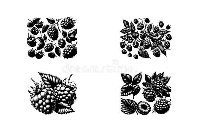 Raspberry Fruits Logo Icon Vector Art Illustration Stock Illustration ...