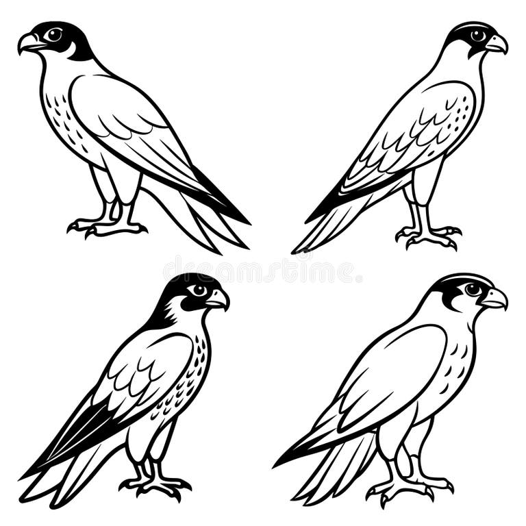 Falcon Line Art Stock Illustrations – 7,256 Falcon Line Art Stock ...
