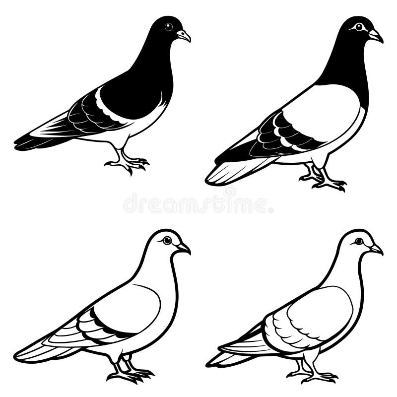 3d Rendering of Dynamic Pigeon Silhouette Line Art. Generative AI Stock ...