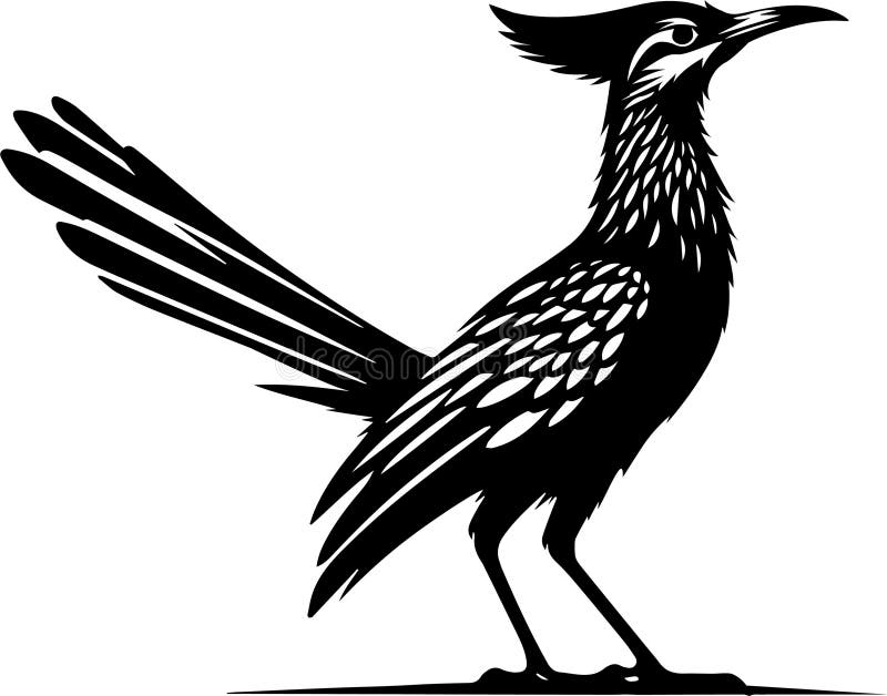 Roadrunner Bird Hand Drawn Vector Artwork Stock Illustration ...