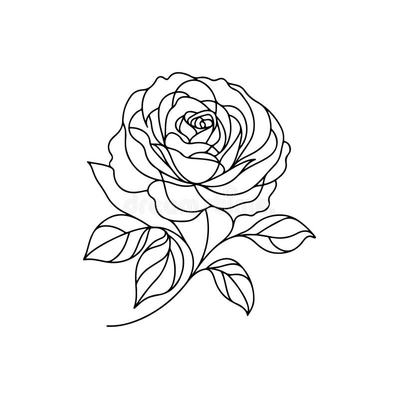 Elegant Rose Outline Vector for Floral Designs Stock Vector ...