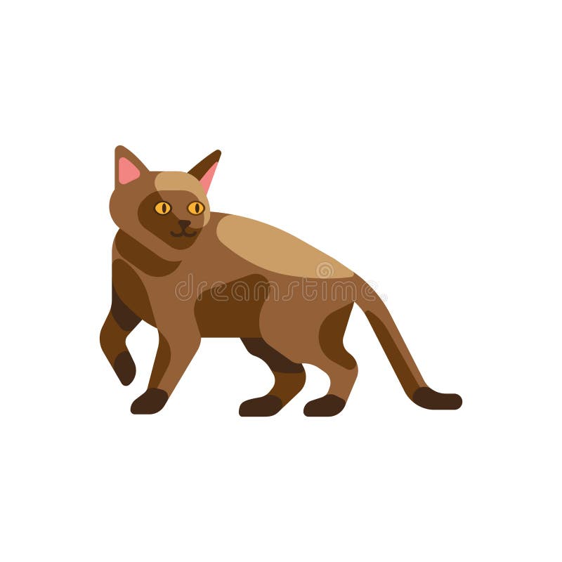 Brown Cat Illustration in Flat Style Stock Vector - Illustration of ...