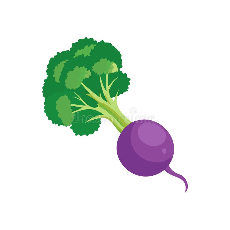 Colorful Cartoon Beetroot Illustration for Healthy Eating and ...