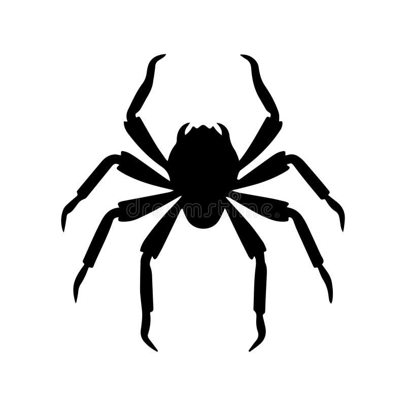 Spider Climbing stock illustration. Illustration of black - 339795323