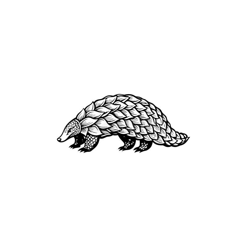 Pangolin Logo. Pangolin Logo Made in Monoline Style Very Simple Not ...