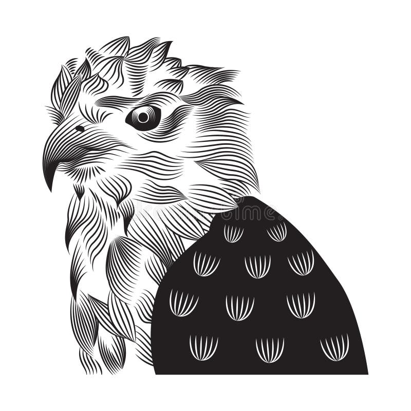 Eagle Line Drawing Eagle Line Drawing Stock Illustrations – 12,912