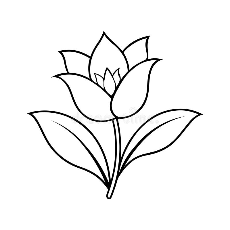 A Flower Outline Silhouette Vector is a Minimalistic Design Featuring ...