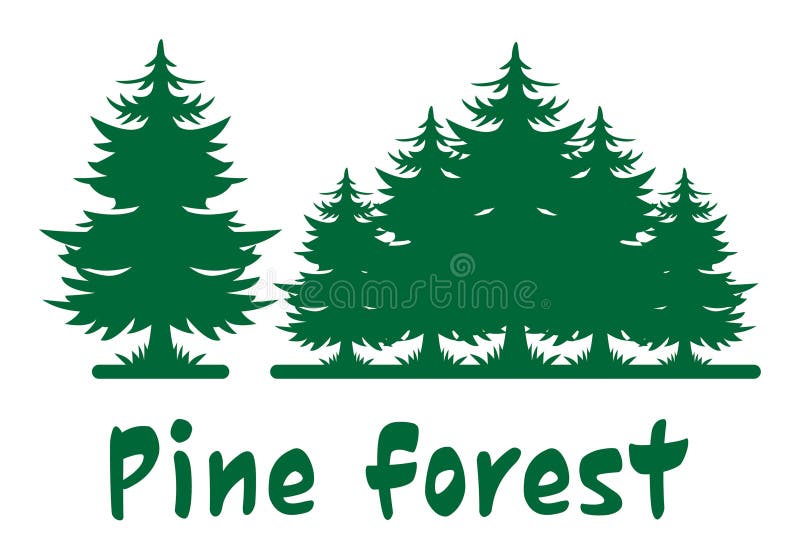 Vector Illustration of Pine Forest Stock Vector - Illustration of ...