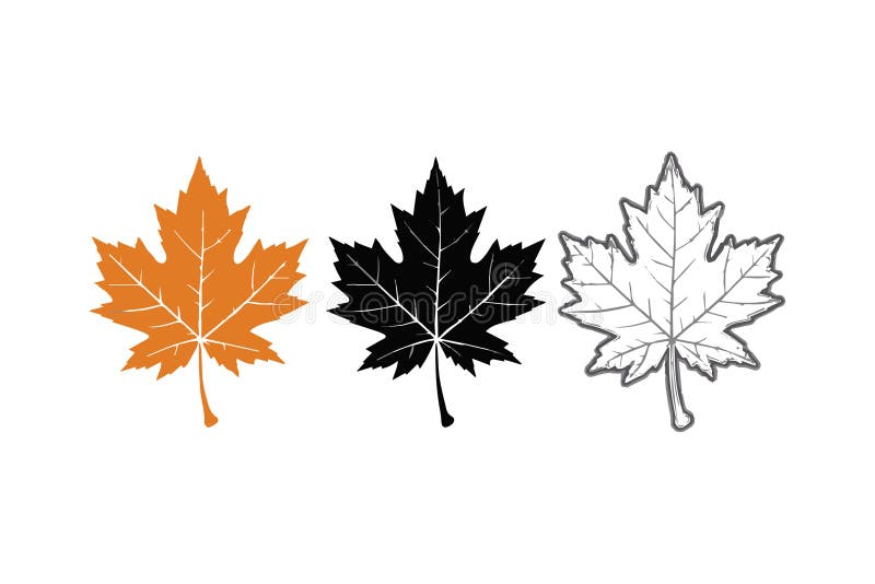 Set of Maple Leaves Icons Vector on White Background 1 Stock ...
