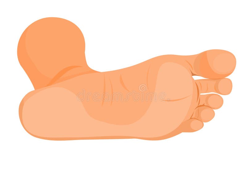 Human Feet, leg stock vector. Illustration of care, adult - 345456408