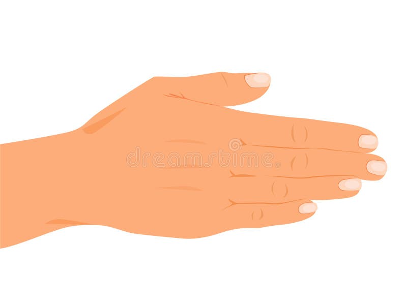 Hand stock vector. Illustration of anatomy, backside - 345485974