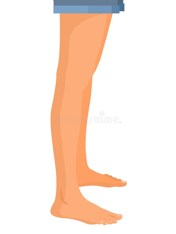 Human legs profile, stock vector. Illustration of hand - 345499209