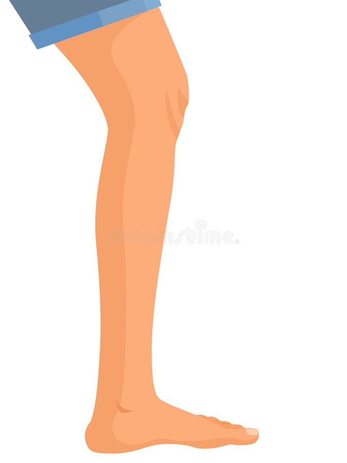 Human Legs Covered with Red Rash Stock Vector - Illustration of foot ...