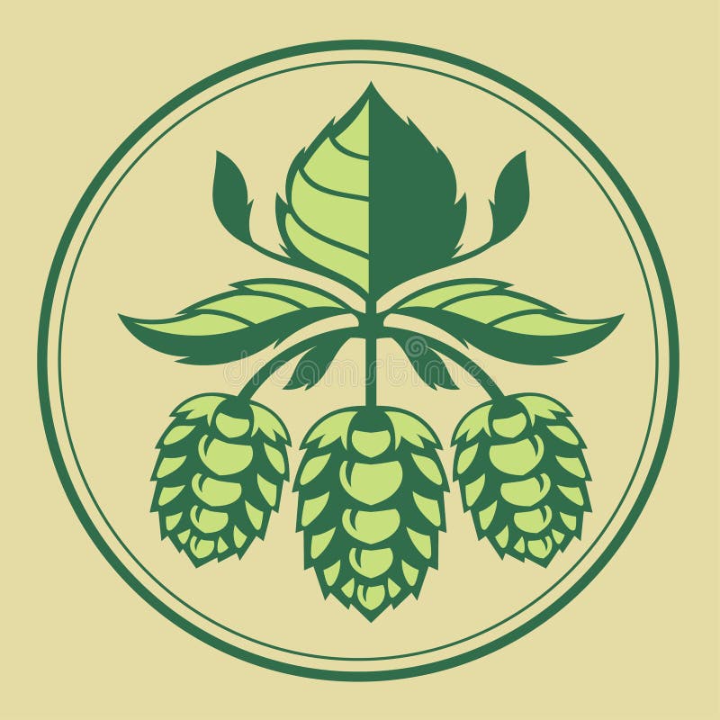 Hops Plant and Hop Leaves Isolated on Green Background Stock Vector ...