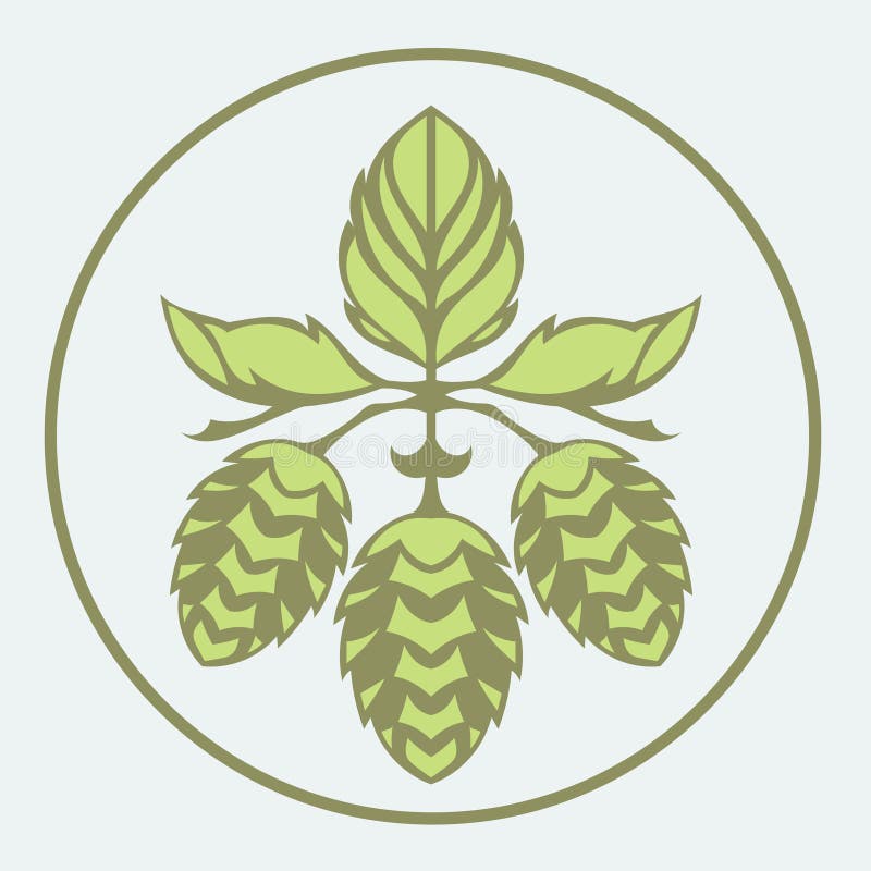 Hops Plant and Hop Leaves Isolated on Green Background Stock Vector ...
