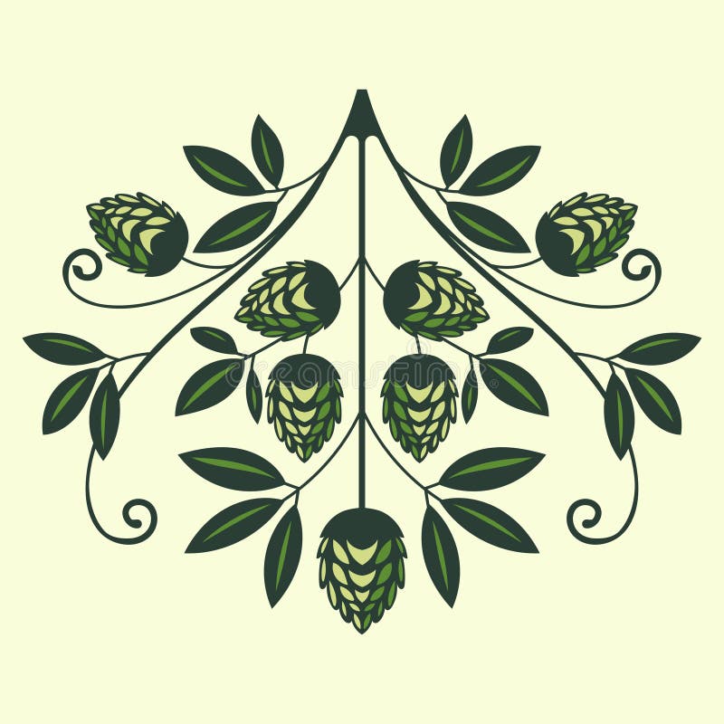 Hops Plant and Hop Leaves Isolated on Green Background Stock Vector ...