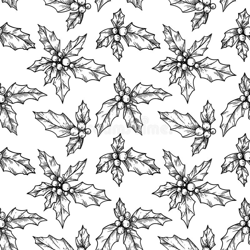 Christmas Holly Line Art. Black and White Traditional Linear ...
