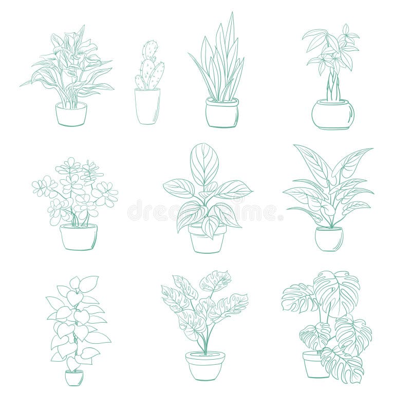 Potted Plants Line Art Stock Illustrations – 1,313 Potted Plants Line ...