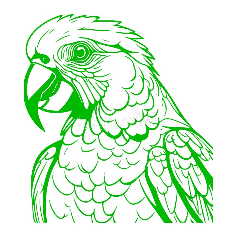 Parrot. Stylized Green Parrot Illustration with Intricate Feather ...