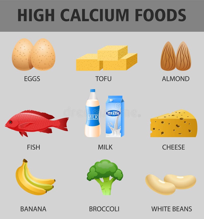 High Calcium Foods Infographic Stock Illustration - Illustration of ...