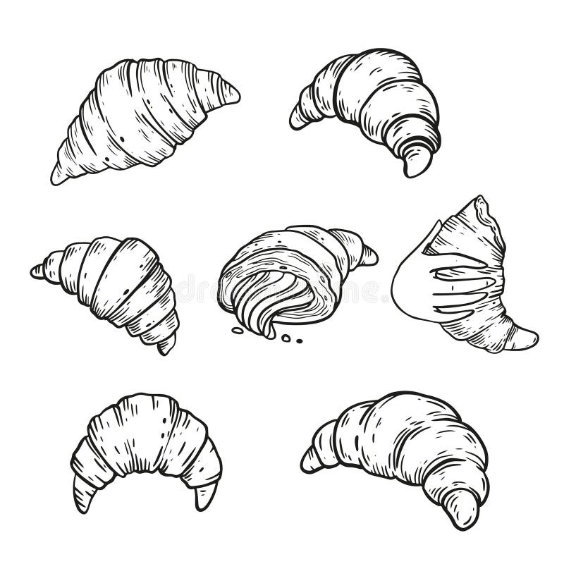 Line Art Croissant Sketch. Black and White Outline Food Illustration ...