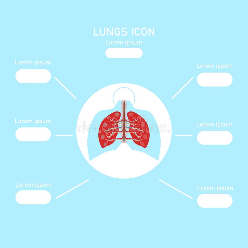 Lungs info graphic icon stock vector. Illustration of line - 350542786